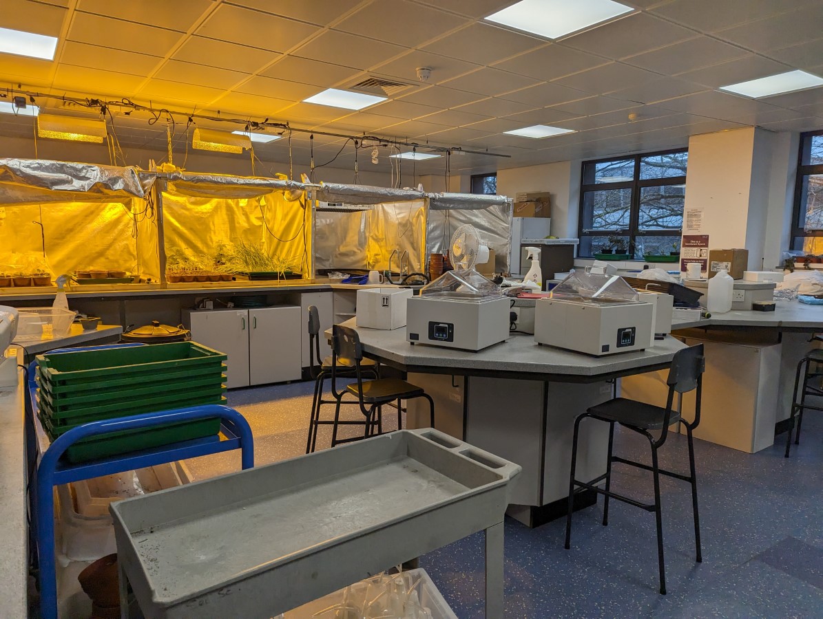 Vavilov Laboratory | AccessAble