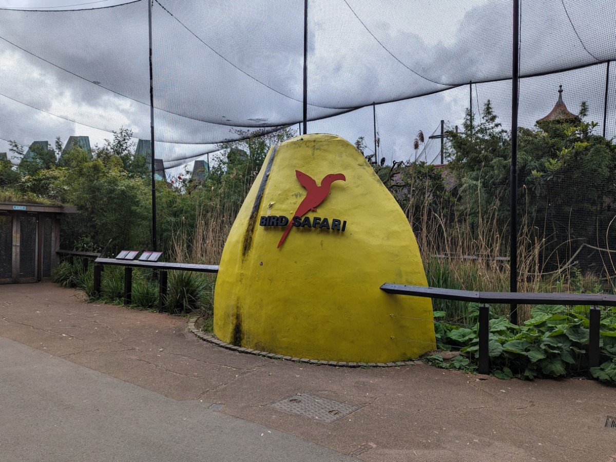London Zoo - Bird Safari | AccessAble