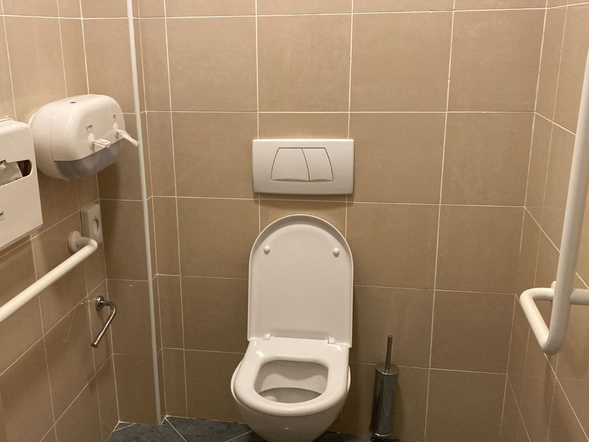 TUI BLUE Medulin - Toilets with Adaptations for Disabled People ...