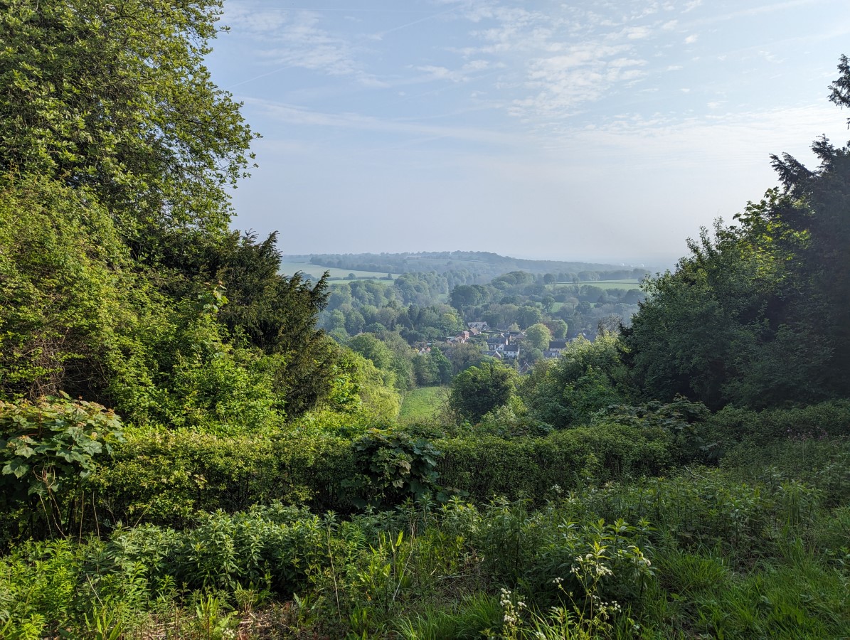 Selborne Common - National Trust | AccessAble