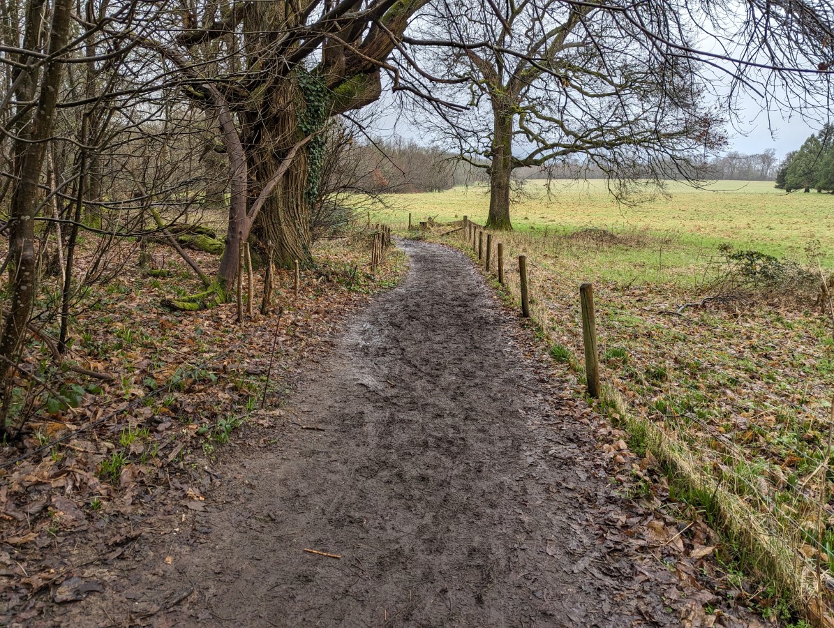 Kingston Lacy - Parkland Woodland Trail | AccessAble