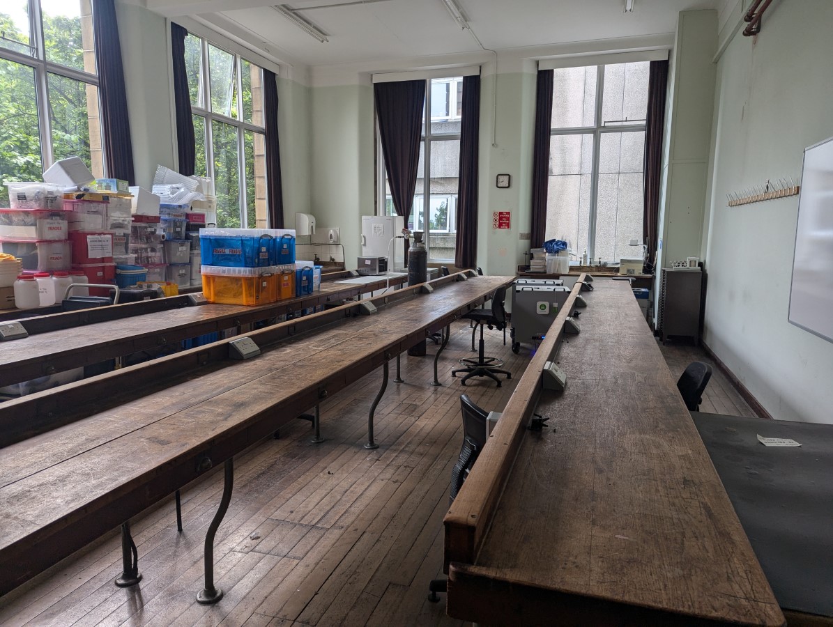 54 Laboratory 2 | AccessAble