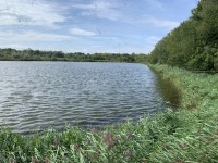 Kempton Nature Reserve | AccessAble