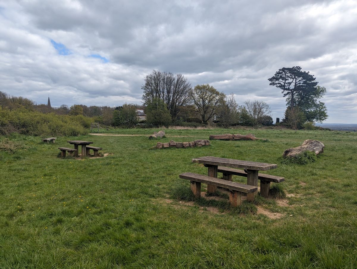 Denbies Hillside - National Trust | AccessAble