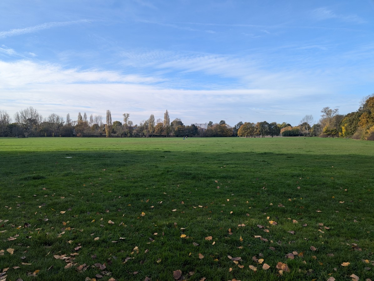 Tooting Common | AccessAble