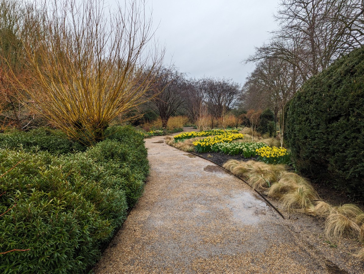 Anglesey Abbey, Gardens and Lode Mill - Winter Garden and Skylight ...