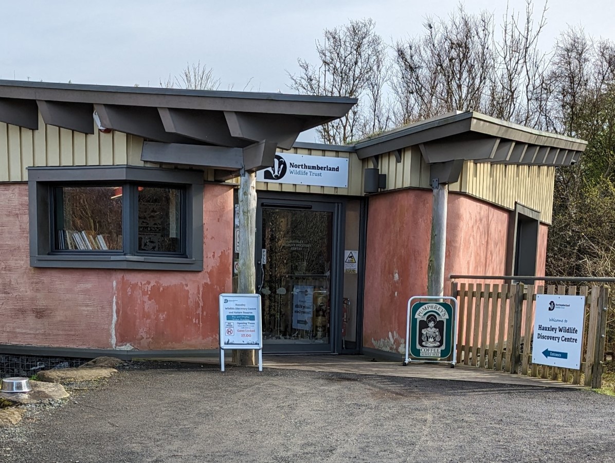 Hauxley Wildlife Discovery Centre and Nature Reserve - The Lookout Café ...