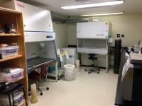 Fleming Building - B21 - Tissue Culture | AccessAble
