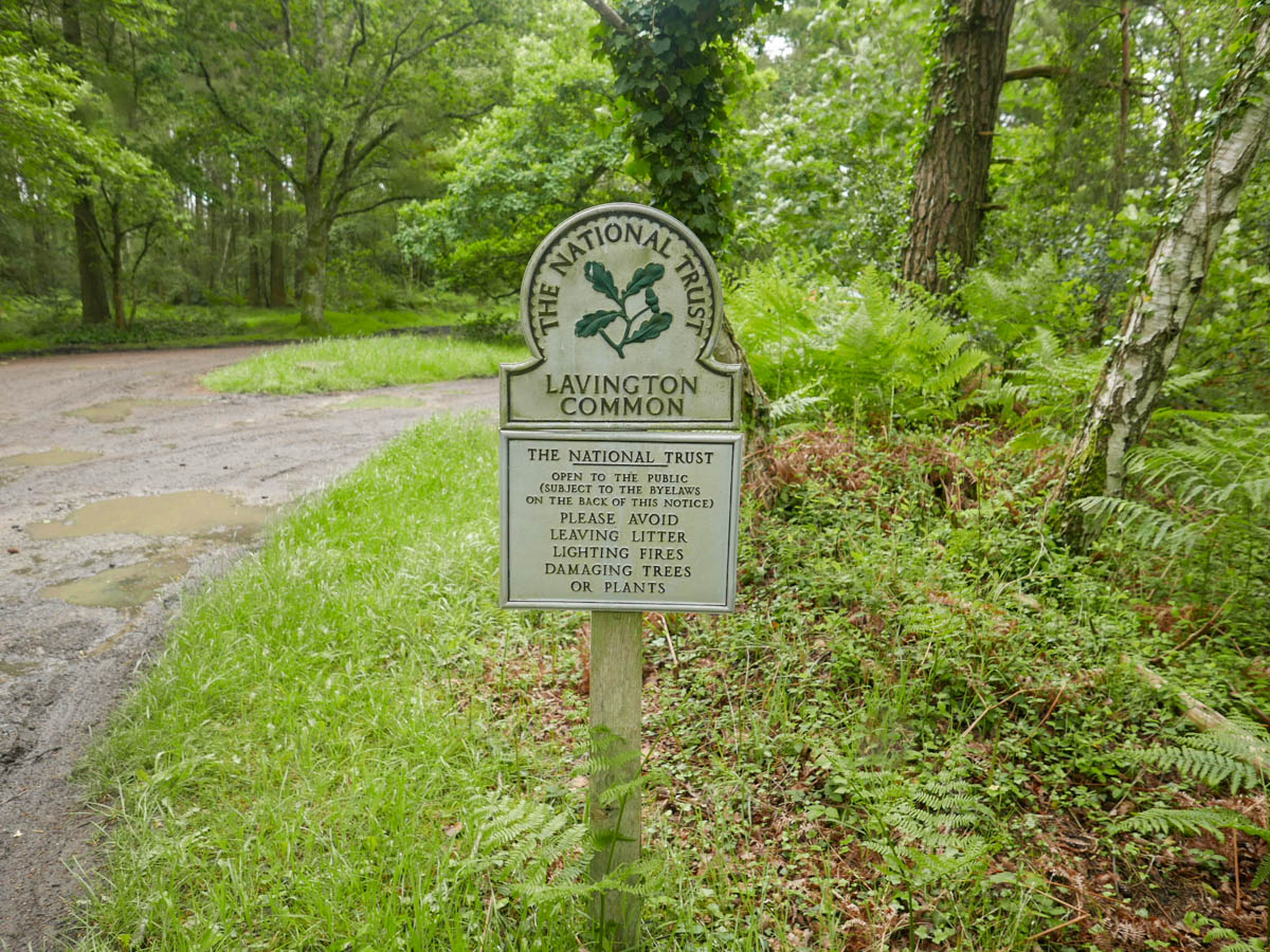 Lavington Common - National Trust | AccessAble