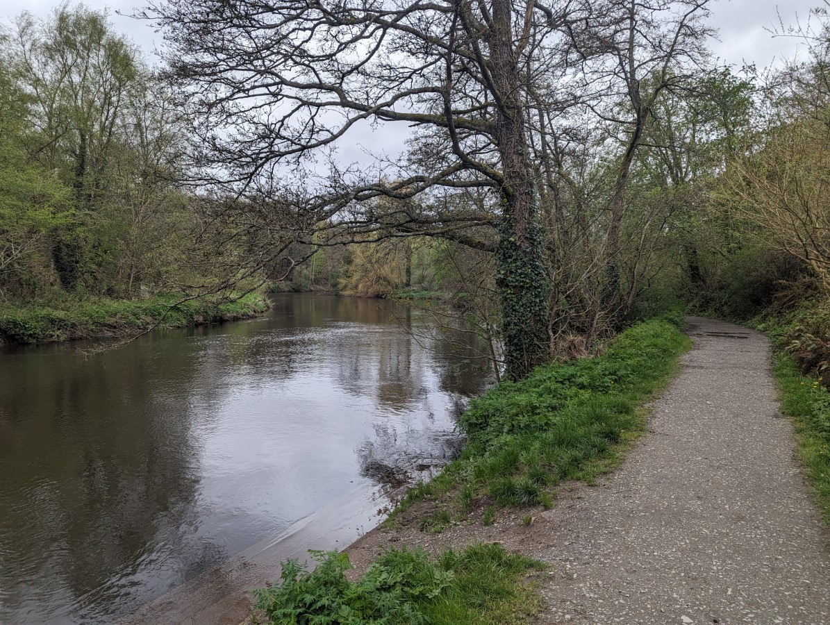 Minnowburn - Riverside | AccessAble
