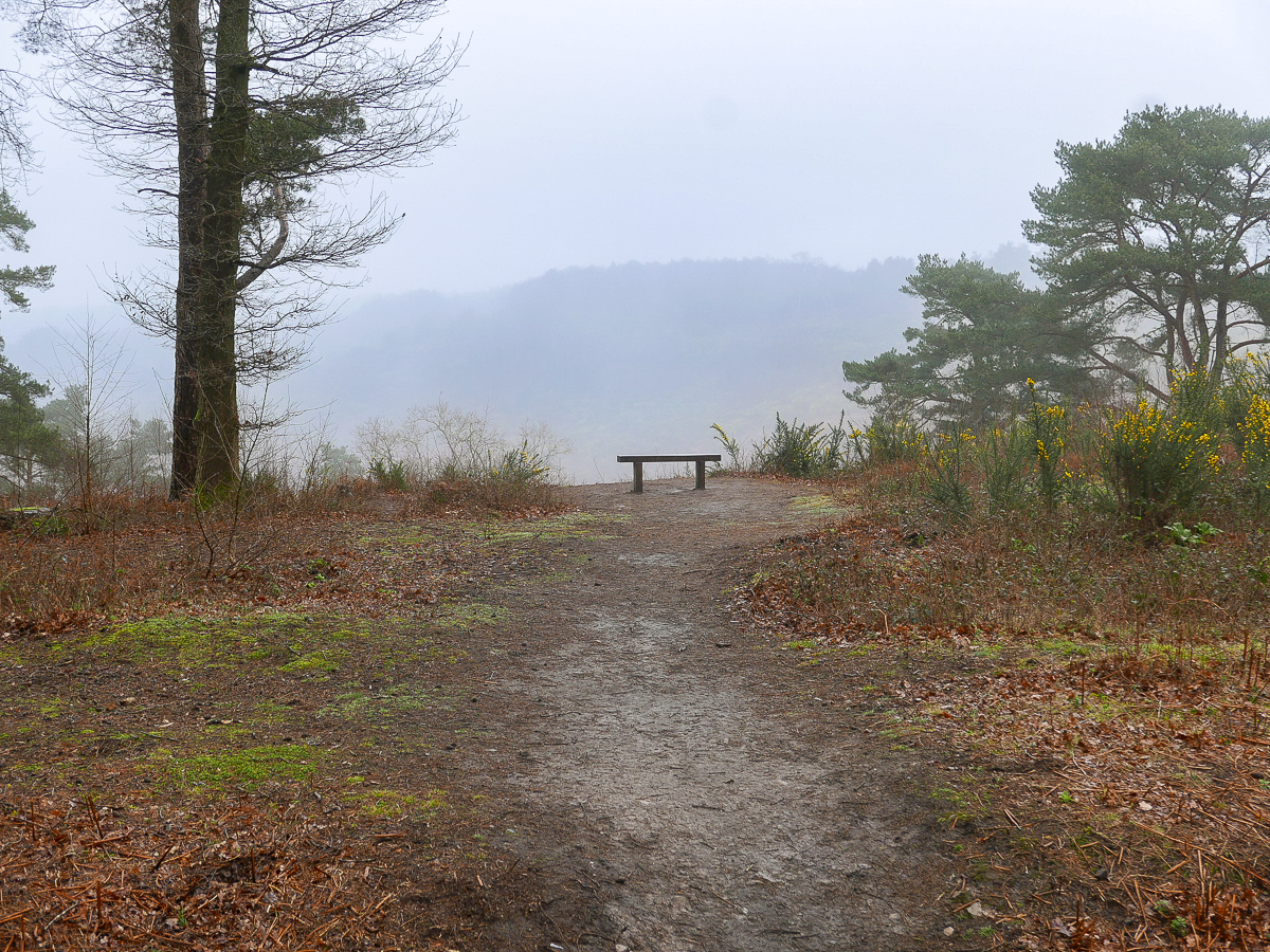 Hindhead Commons and the Devil's Punch Bowl | AccessAble