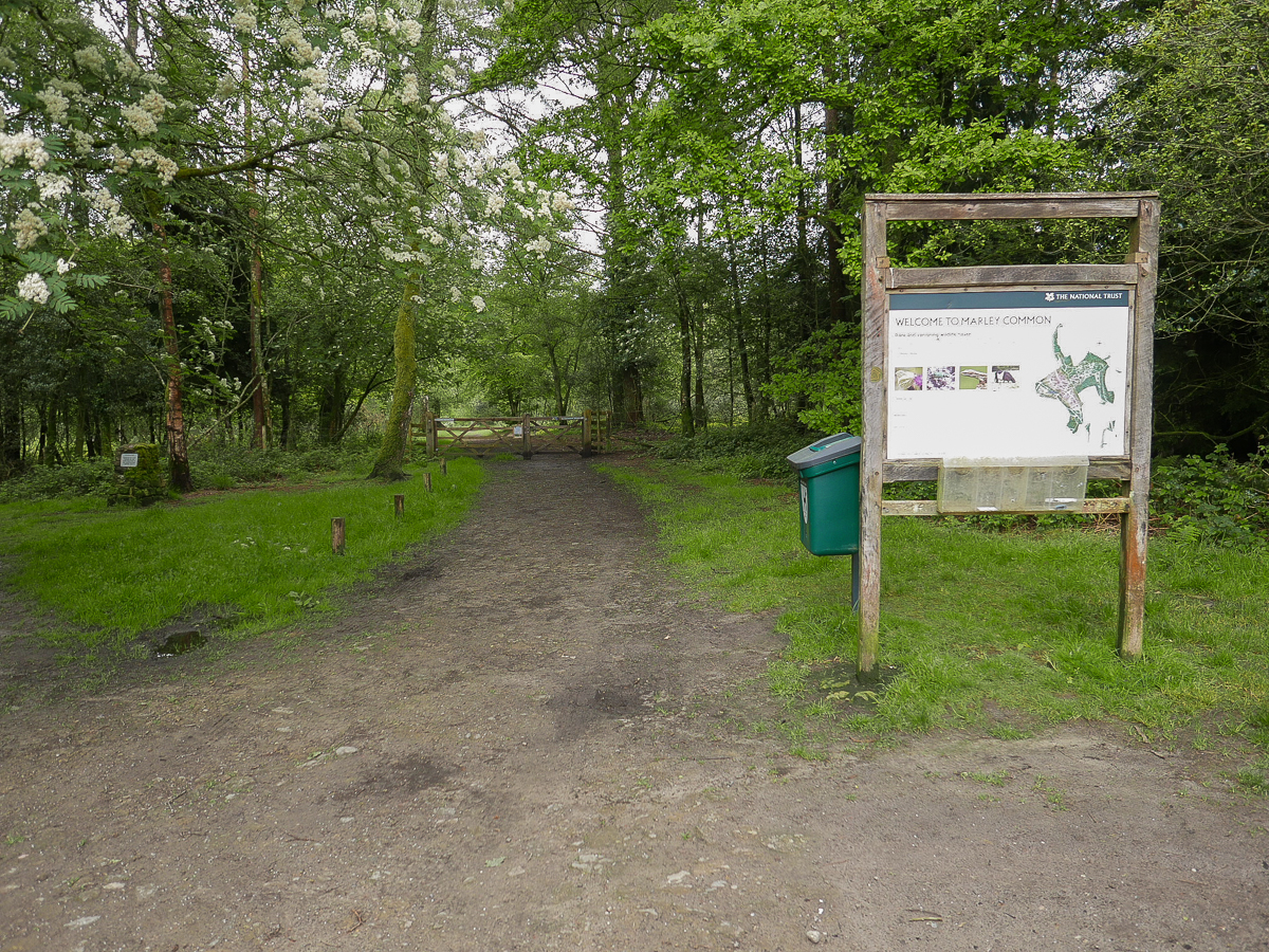 Marley Common - National Trust | AccessAble
