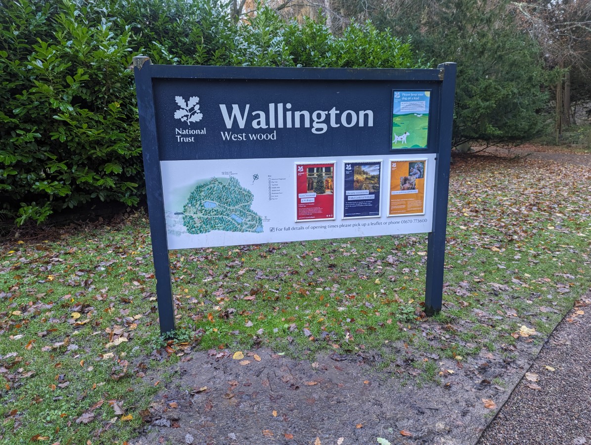 Wallington - West Wood - National Trust | AccessAble