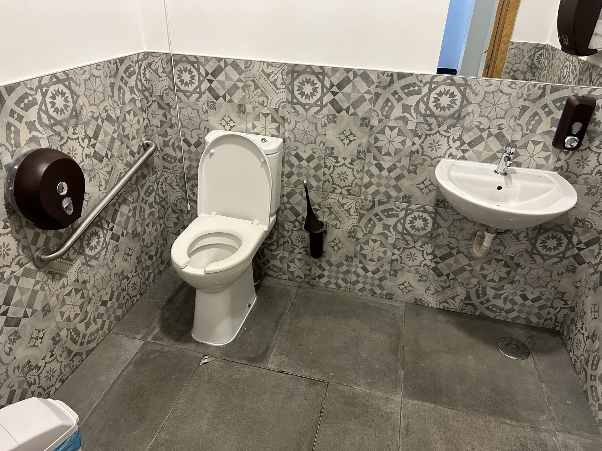 TUI Blue Cabo Verde - Toilets with Adaptations for Disabled People ...