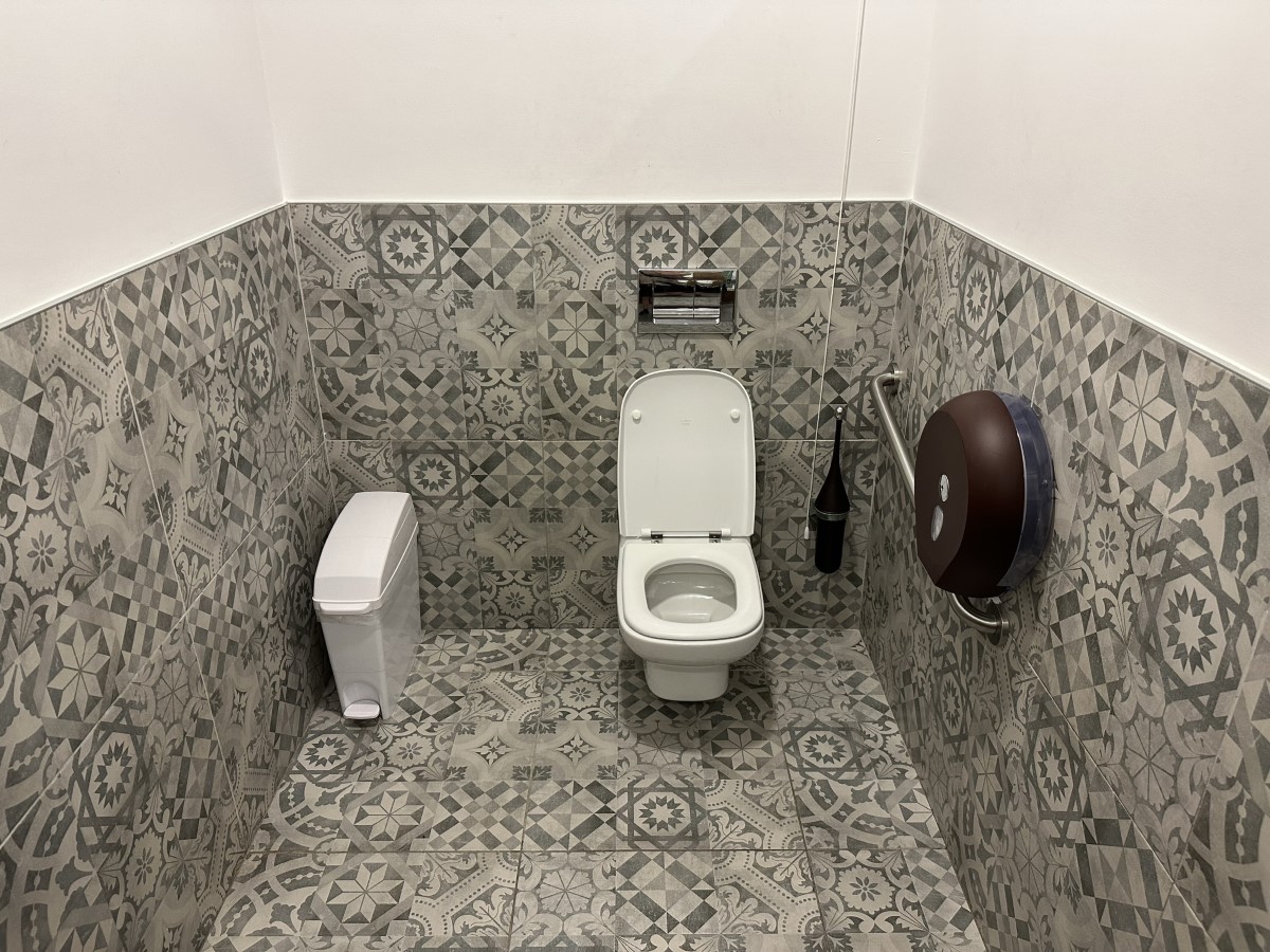 TUI Blue Cabo Verde - Toilets with Adaptations for Disabled People ...