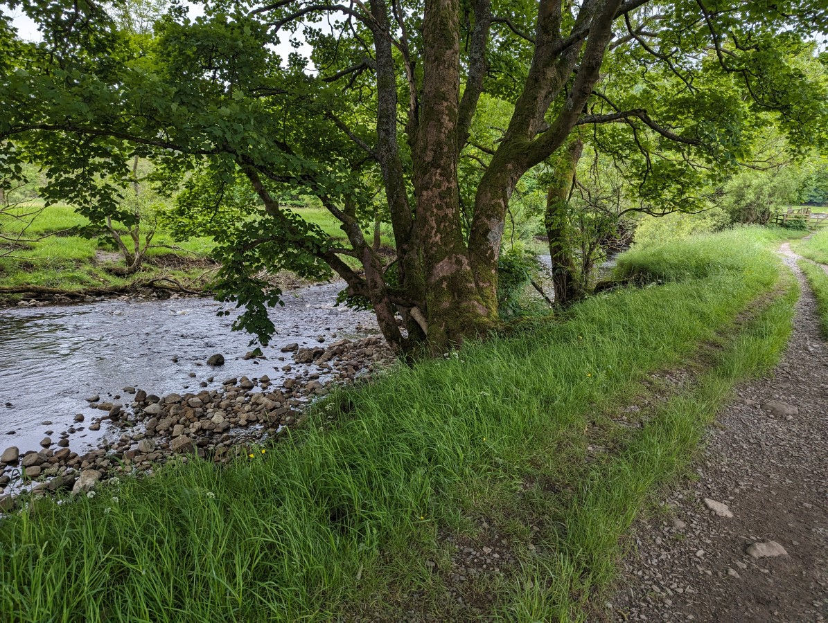 Yorkshire Dales - Upper Wharfedale - Buckden | AccessAble