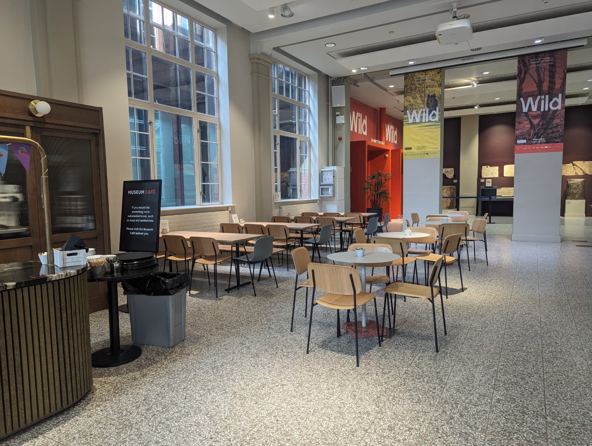 Coffee Bar - Manchester Museum | AccessAble