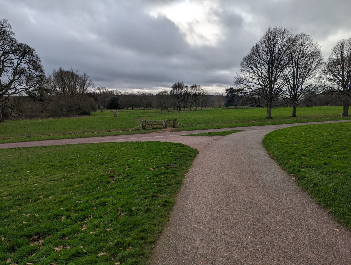 Killerton - Garden Trail | AccessAble