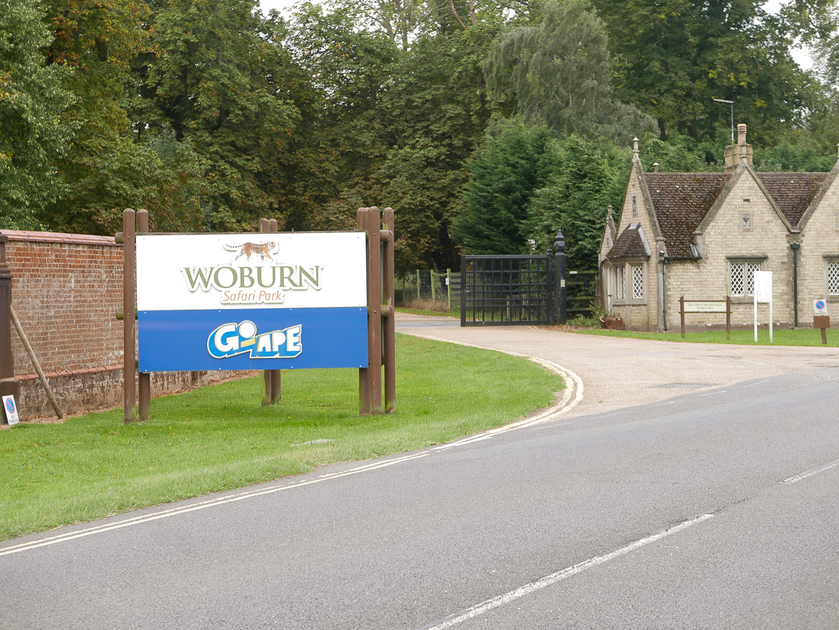 Woburn Safari Park | AccessAble