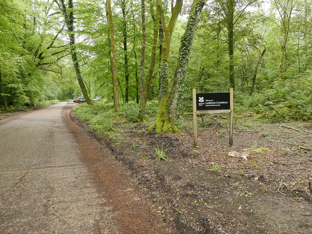 Ludshott Commons - National Trust | AccessAble