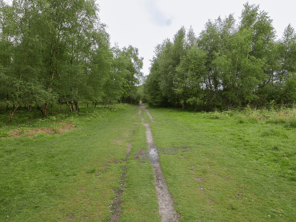 Ludshott Commons - National Trust | AccessAble