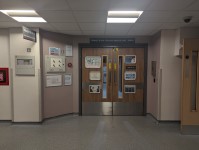 Ward 18 and 19 - Acute Medical Unit (AMU) | AccessAble