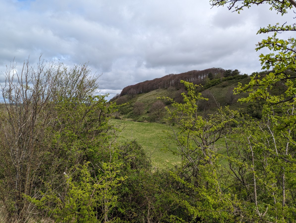 Sharpenhoe Clappers - National Trust | AccessAble