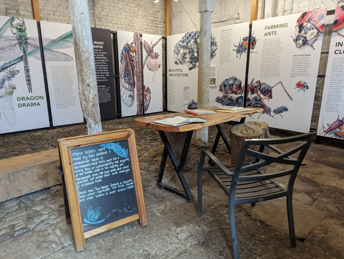 Gibside - The Stables | AccessAble