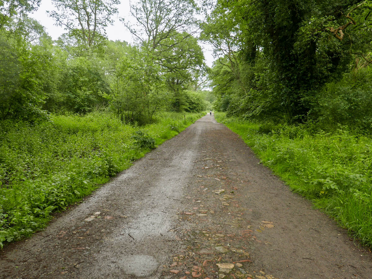 Bookham Commons - National Trust | AccessAble