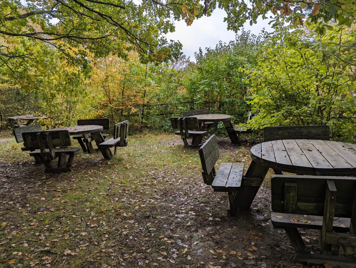 Bateman's - Picnic and Natural Play Area | AccessAble
