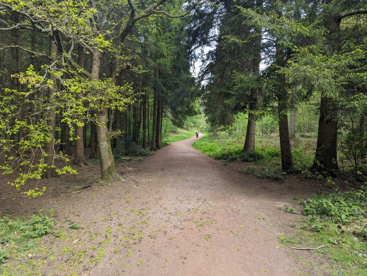 Dudmaston Estate - Comer Woods | AccessAble