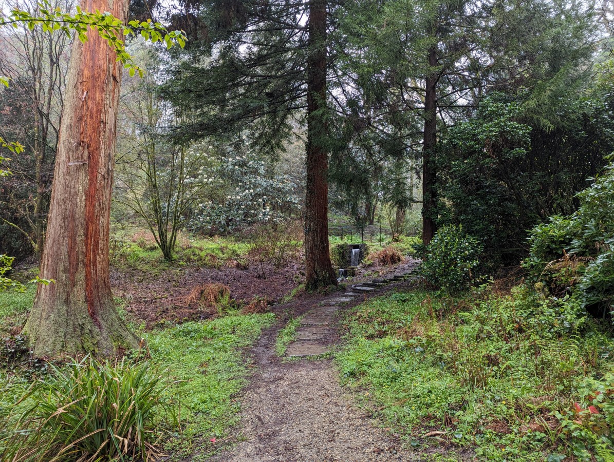 Colby Woodland Garden - West Wood | AccessAble