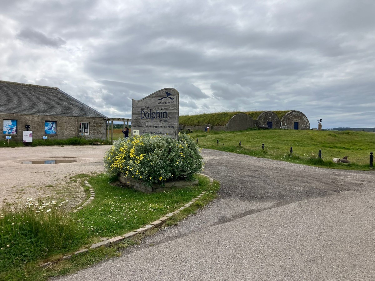Scottish Dolphin Centre | AccessAble