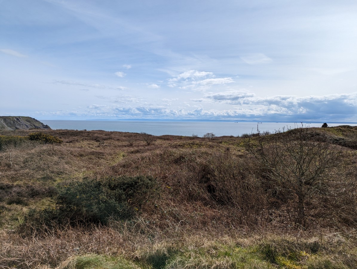 Penmaen and Nicholaston Burrows - National Trust | AccessAble