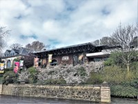 Edinburgh Zoo - Parking and Entrance | AccessAble
