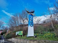 Edinburgh Zoo - Parking and Entrance | AccessAble