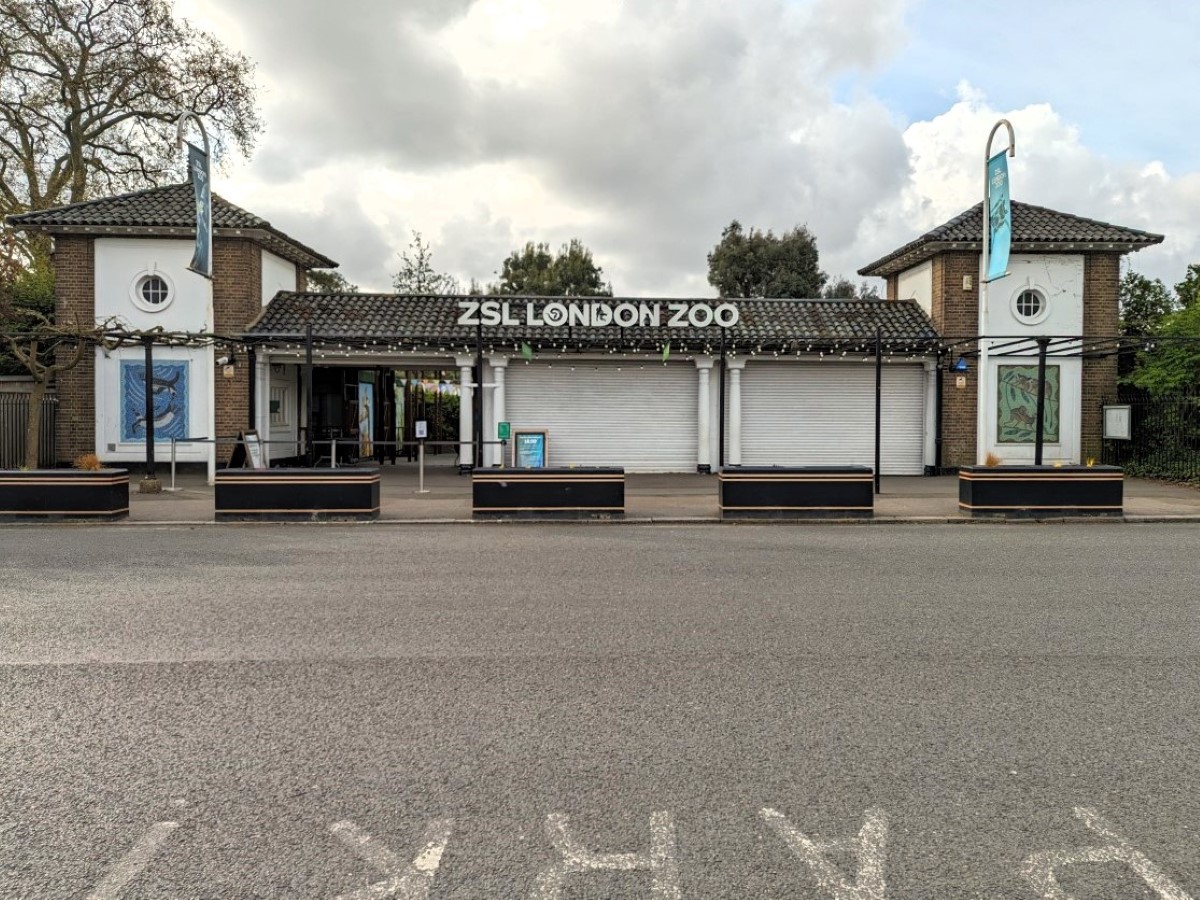 London Zoo - Parking and Entrances | AccessAble