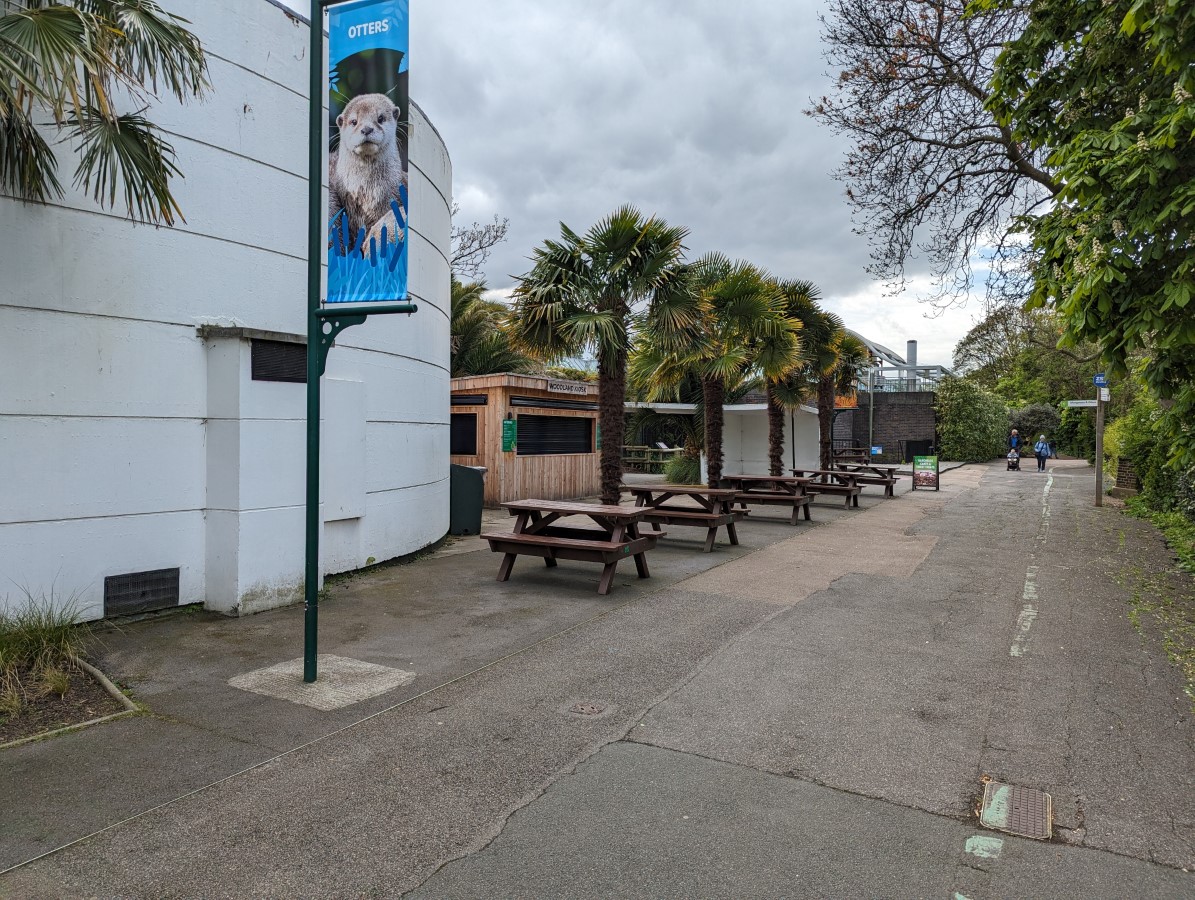 London Zoo - Pink Zone | AccessAble