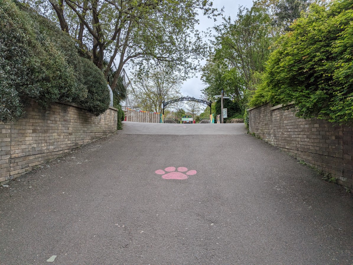 London Zoo - Pink Zone | AccessAble
