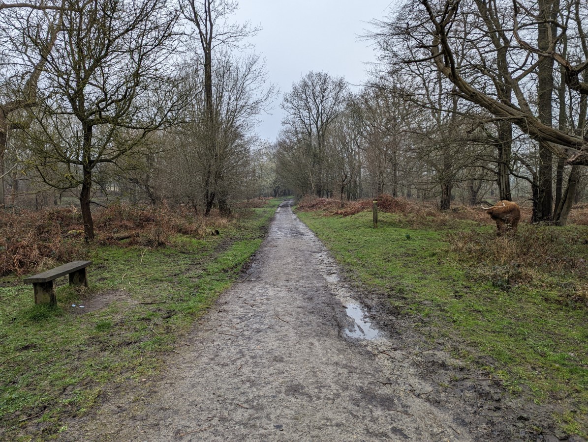 Cobham Wood and Mausoleum - National Trust | AccessAble