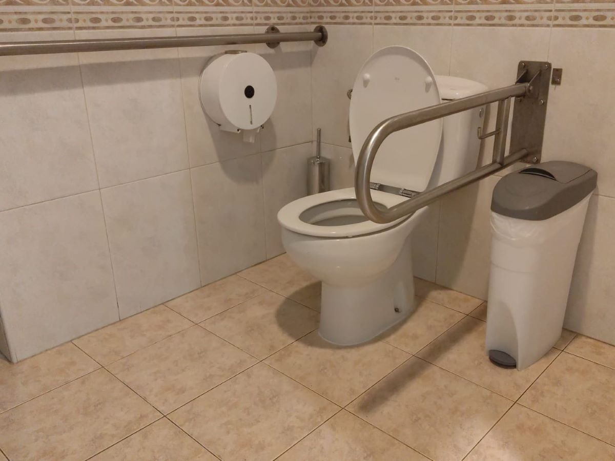 H10 Delfin - Toilets with Adaptations for Disabled People | AccessAble