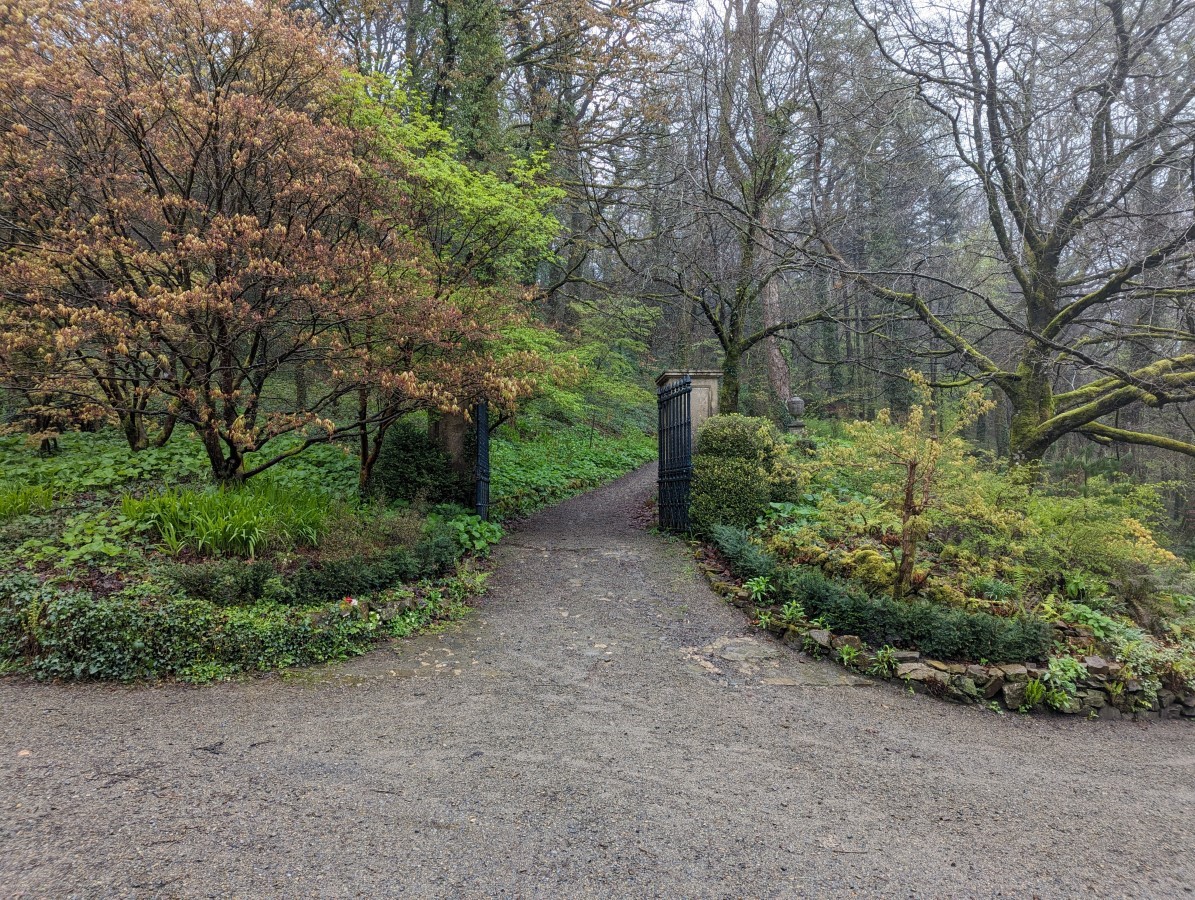 Colby Woodland Garden - East Wood | AccessAble