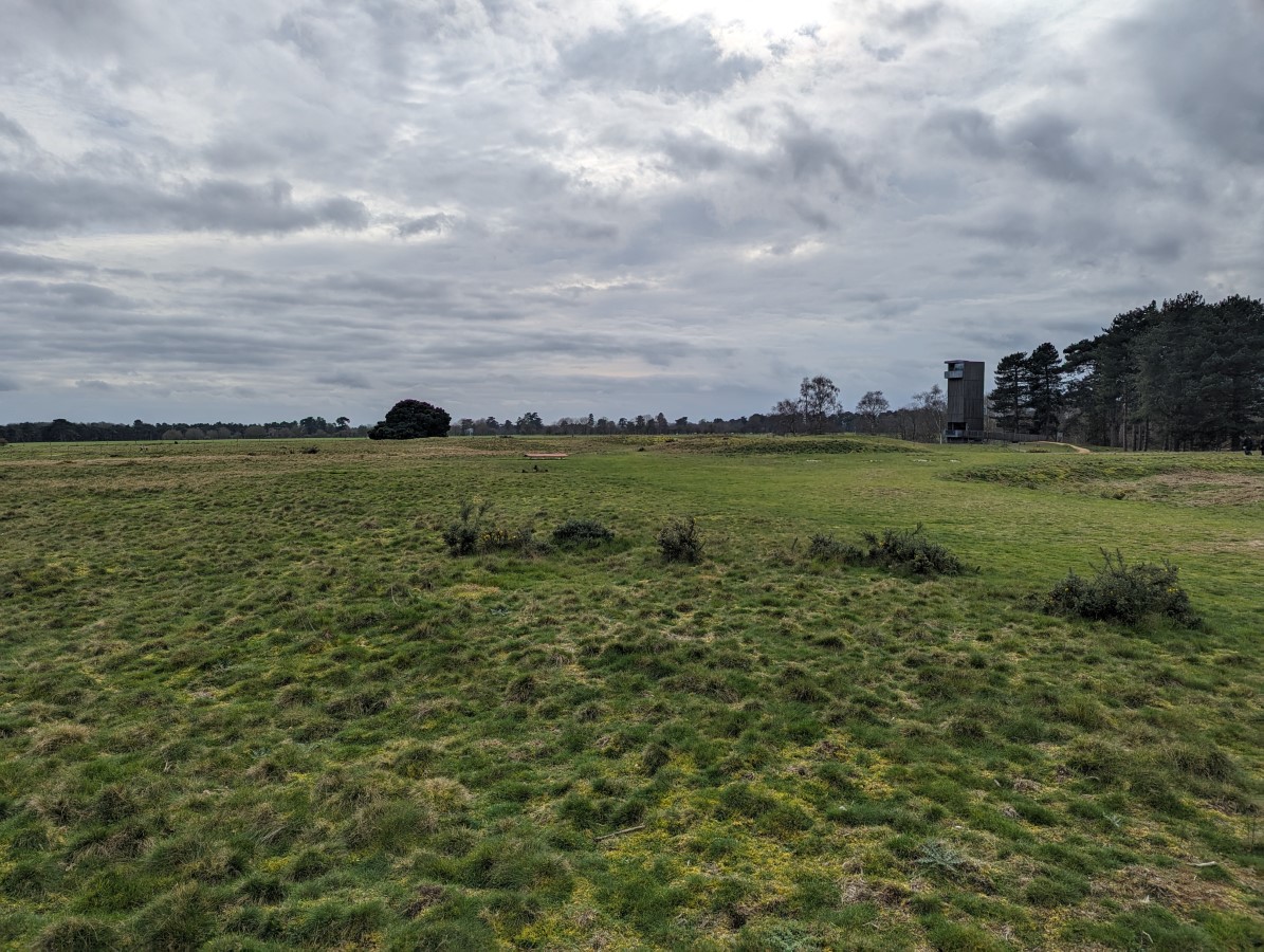 Sutton Hoo - The Royal Burial Ground and Viewing Tower | AccessAble