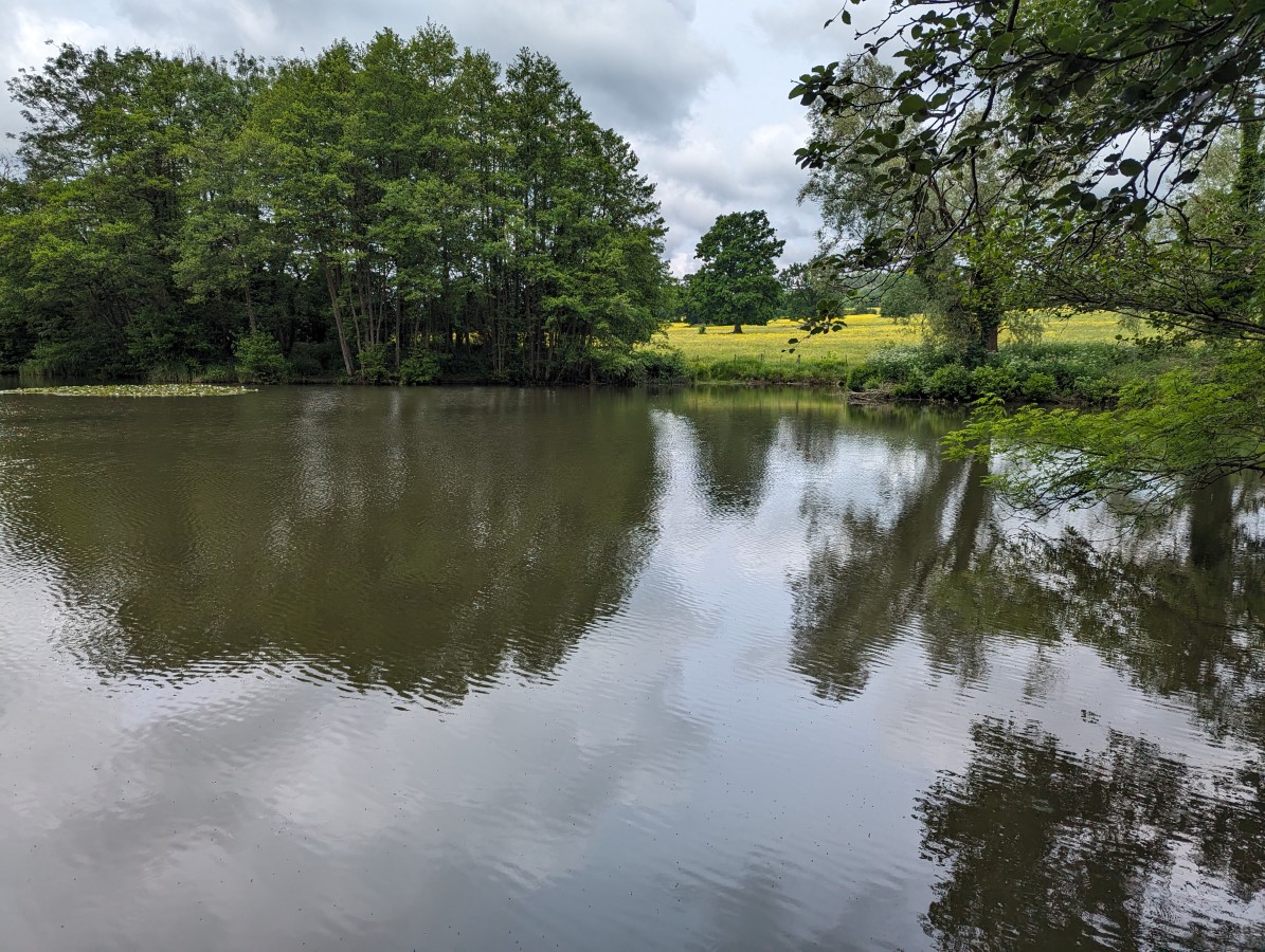 Dinton Park and Philipps House - National Trust | AccessAble